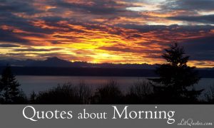 Quotes about Morning from Literature | LitQuotes Blog