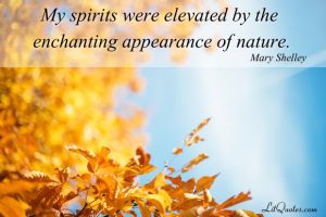 Hope Quotes - LitQuotes